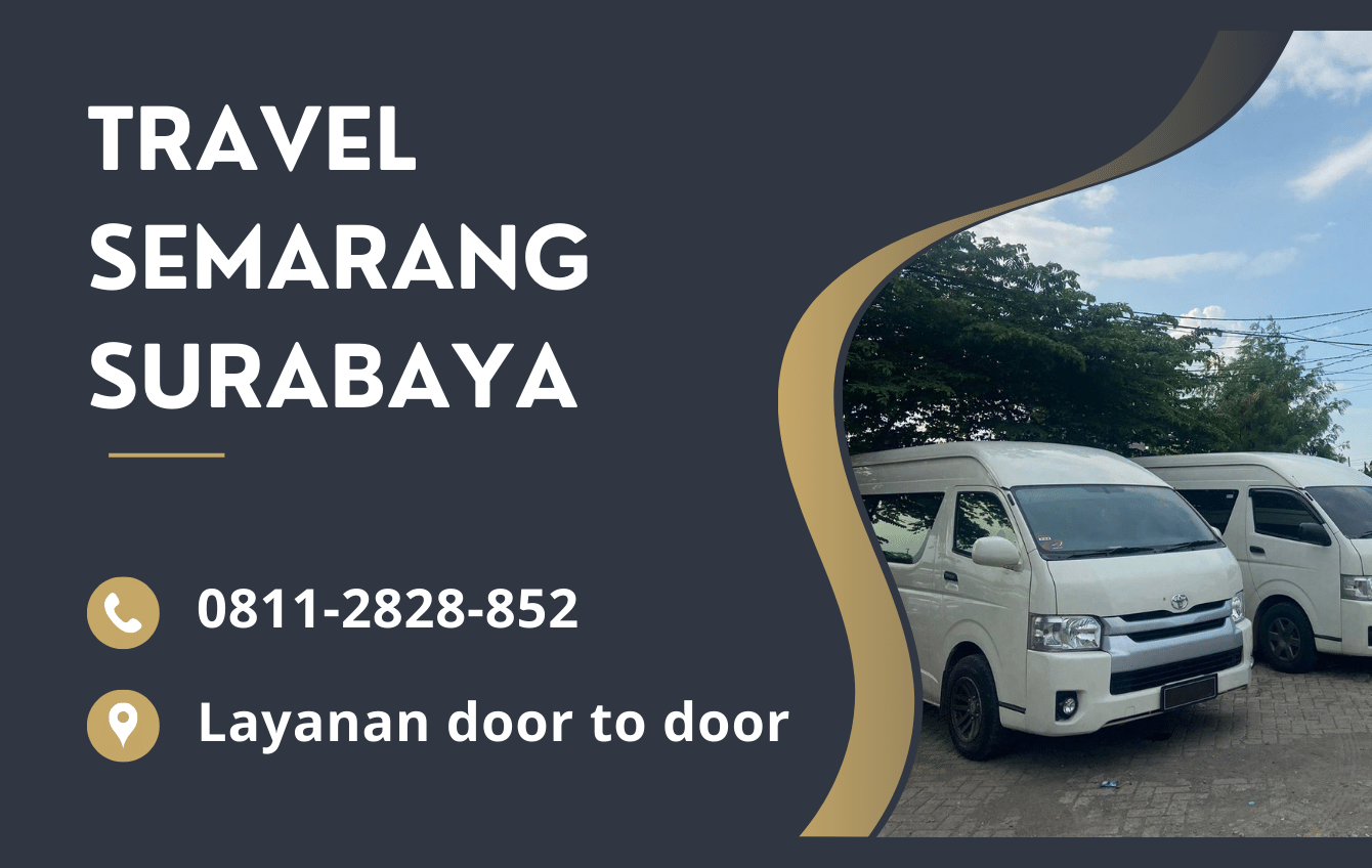 travele.co.id - Pengalaman dan Profesional