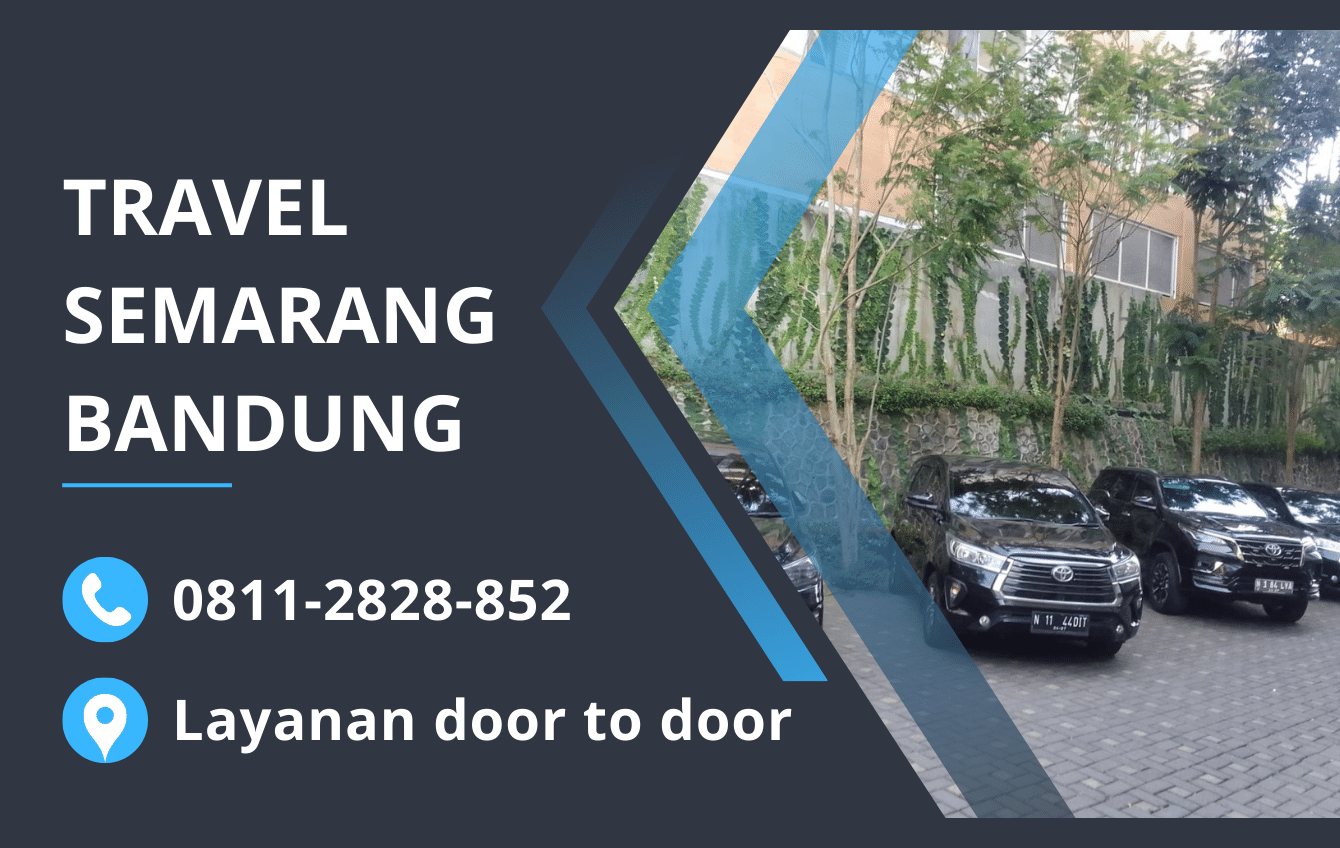 travele.co.id - Pengalaman dan Profesional