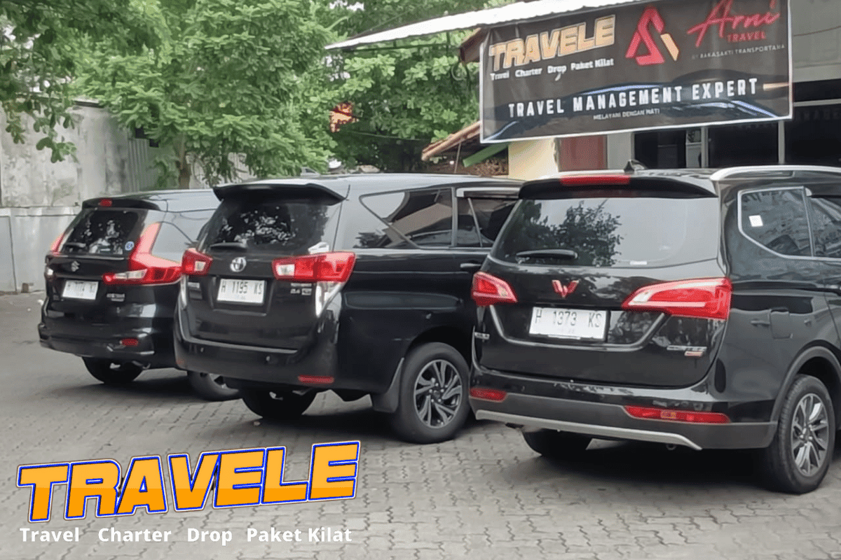 travele.co.id - Pengalaman dan Profesional